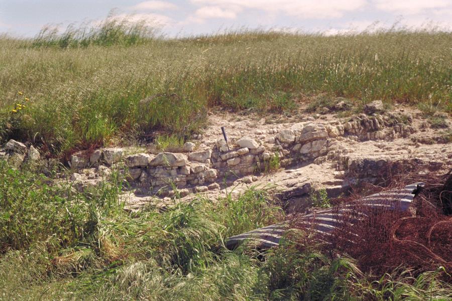 Mineral Deposit Details